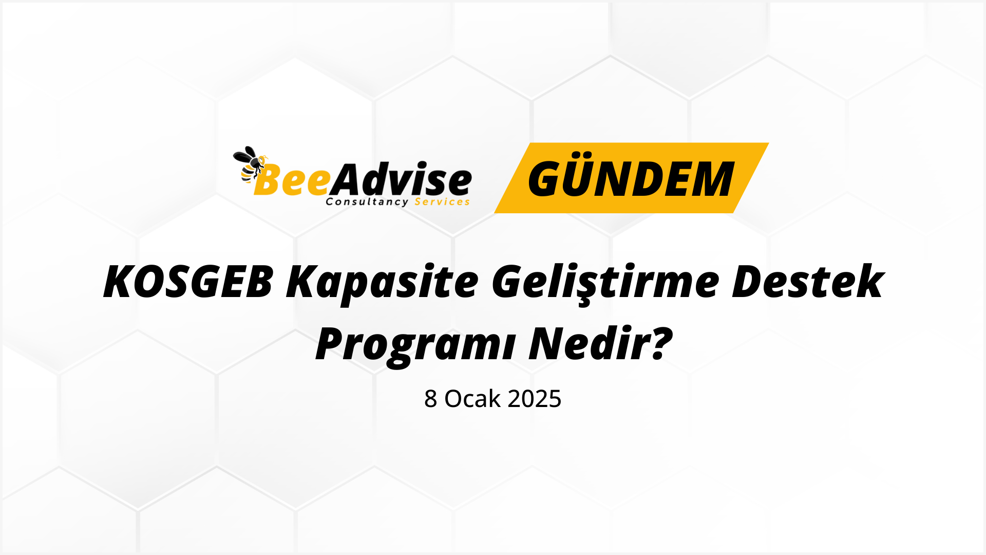 KOSGEB Kapasite Geliştirme Destek Programı Nedir? | Bee Advise ...